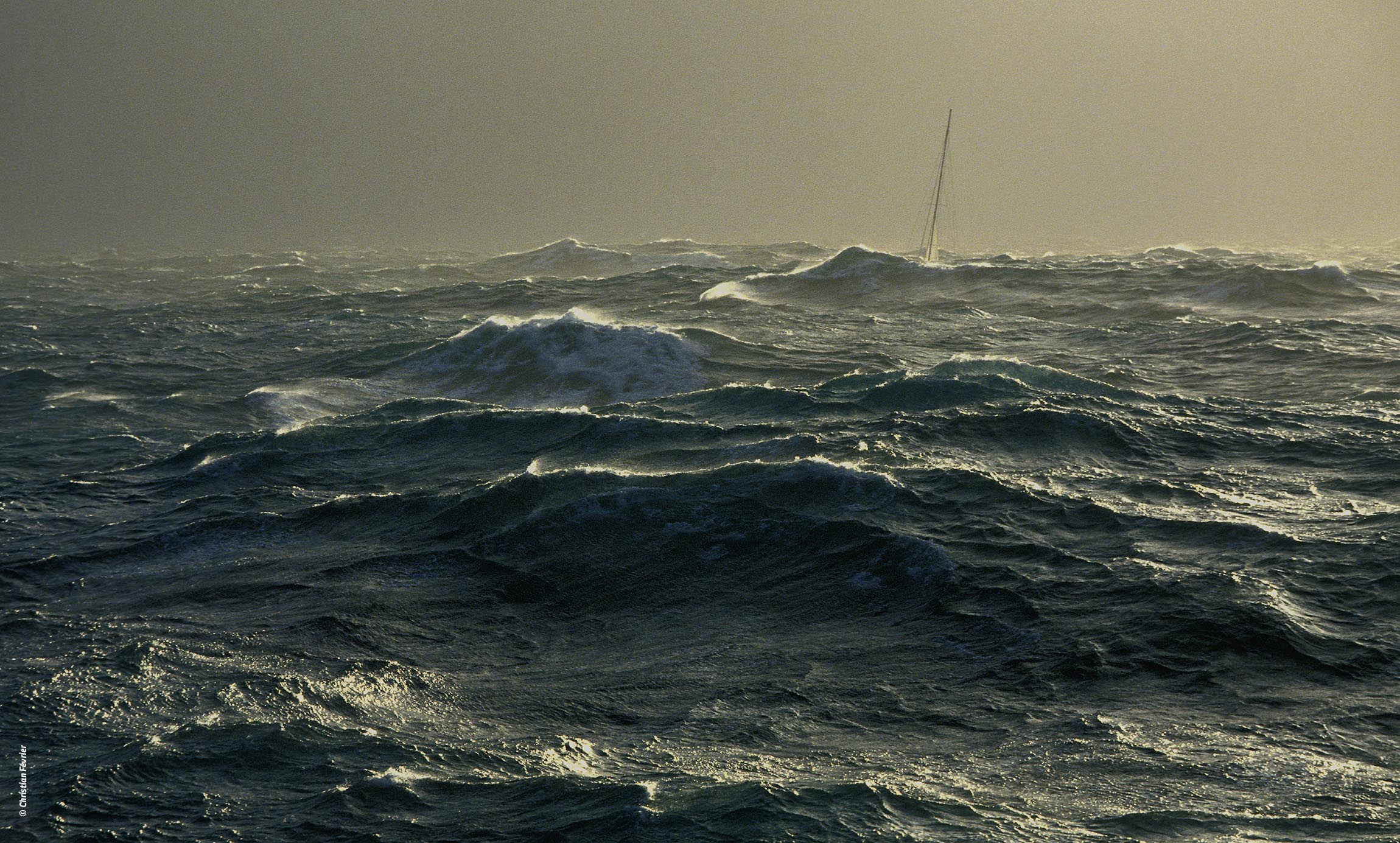1er avril 1994. Arrivée d’Enza (Sir Peter Blake) à 60 milles d ...